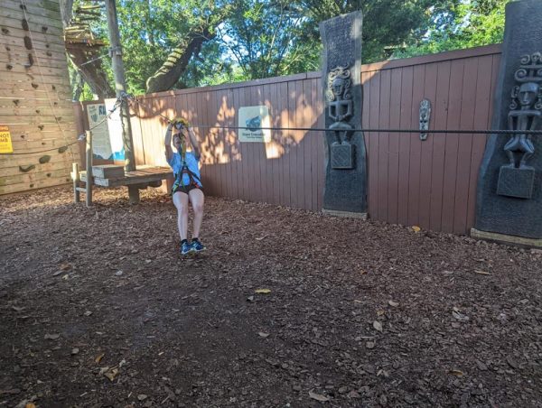 Would You Dare Zipline Over Alligators at Crocodile Crossing?! - Akron ...