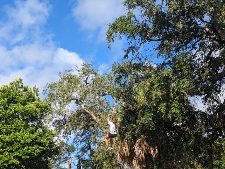 Would You Dare Zipline Over Alligators at Crocodile Crossing?! - Akron ...