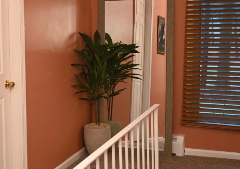 Add a Touch of Life to Your Decor with Nearly Natural - Akron Ohio Moms