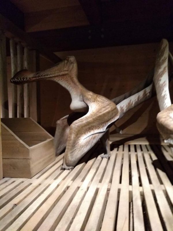 Ark Encounter Review: Life-size Noah's Ark - Akron Ohio Moms