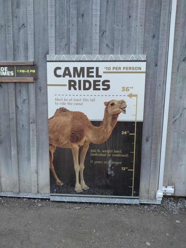 Ark Encounter Review: Life-size Noah's Ark - Akron Ohio Moms