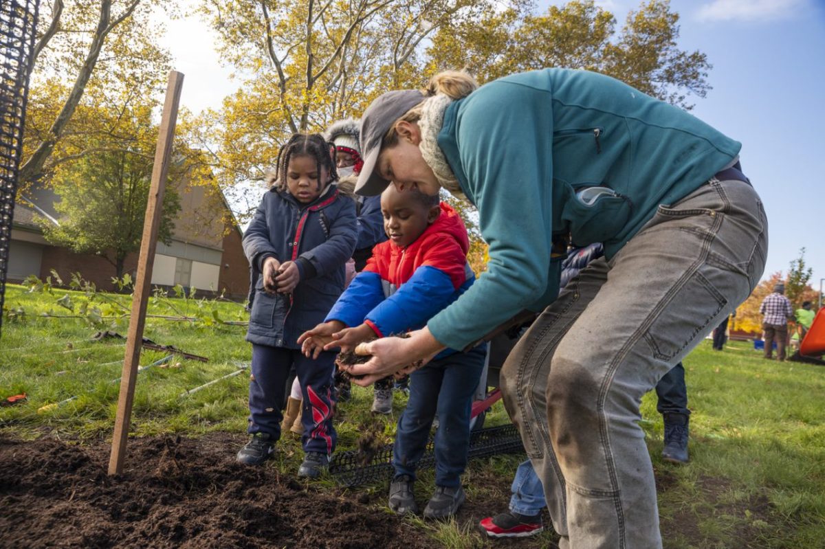 Tree-rrific Fun on Arbor Day with Free Admission to Cleveland Botanical ...