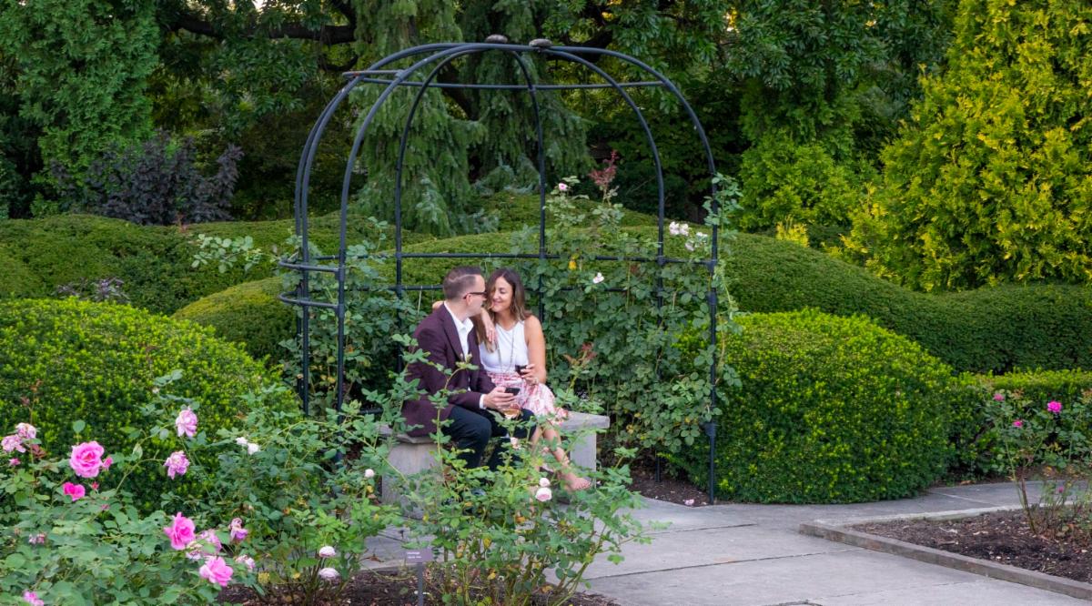 Don't Miss these Family-Friendly Events at Holden Arboretum and the ...