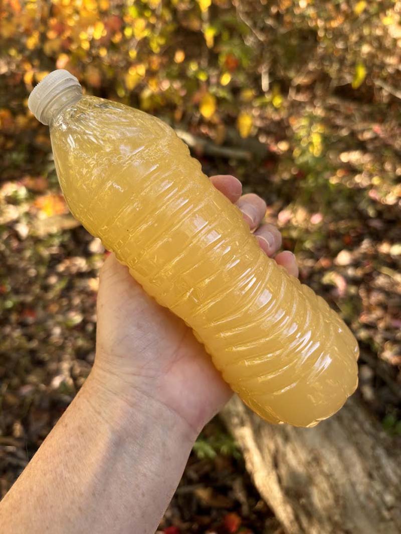 Swanson: A Trusted Name in Vitamins & Supplements for Over 55 Years ...