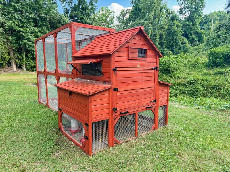 How Should Your Chicken Coop Be Designed to Save It from Predators ...