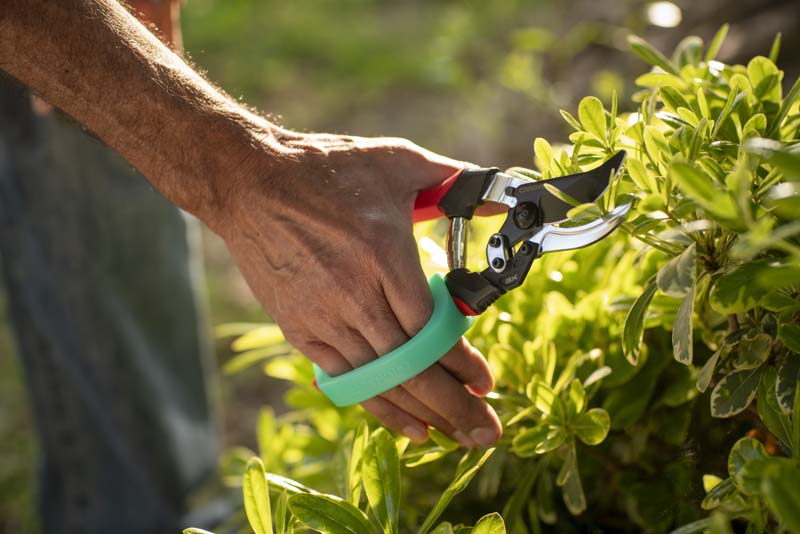 Gardening Made EaZy: Why EaZyHold is the Perfect Gardening Tool for All ...