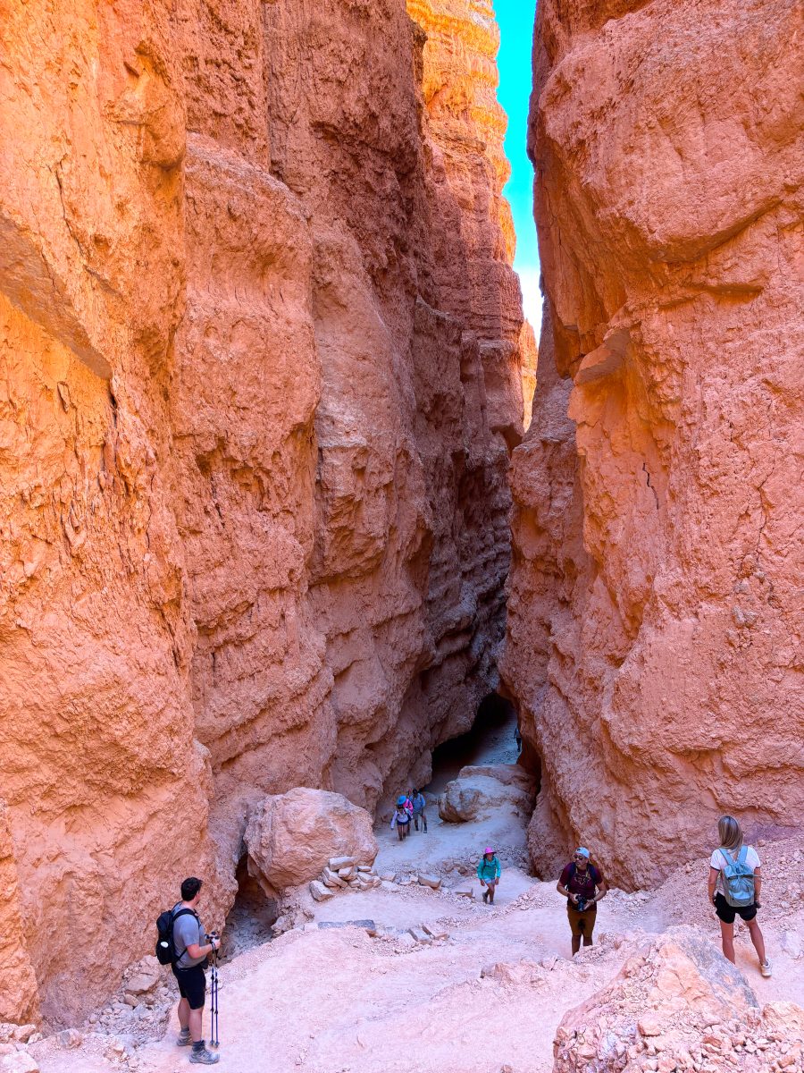 Bryce Canyon National Park: A Must-See Adventure for Families - Akron ...