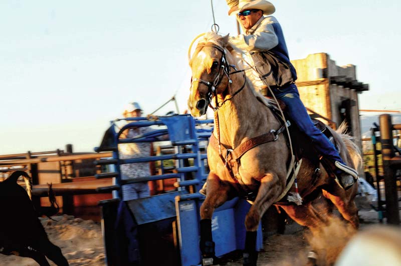 Romance: An Arizona Dude Ranch Valentine's Day - Akron Ohio Moms