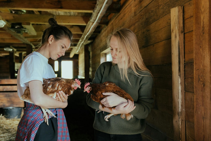 6 Must-Haves for Your Family’s New Homestead Project - Akron Ohio Moms