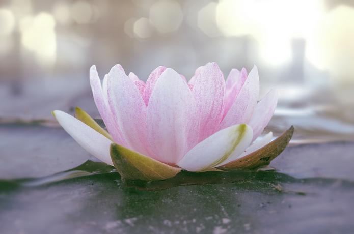 Your Guide to Overcoming Challenges and Finding Help - Akron Ohio Moms