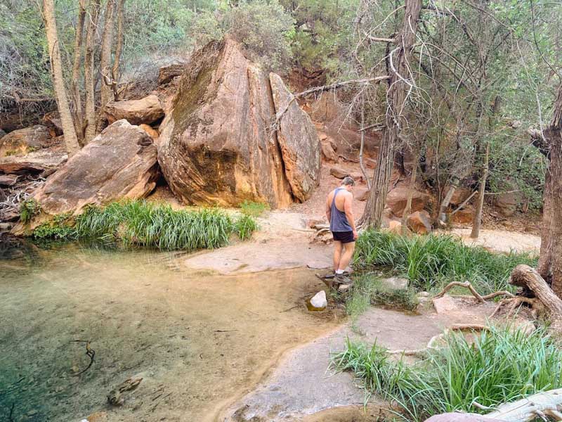 Exploring Zion National Park: A Family Adventure to Remember - Akron ...