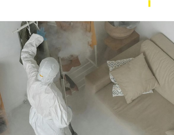 Top Signs You Might Have a Hidden Pest Infestation - Akron Ohio Moms