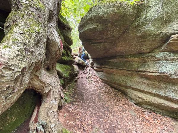 Falls Edge Glass Walkway at Nelson-Kennedy Ledges: Ohio’s New 137-Foot ...