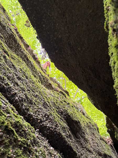Falls Edge Glass Walkway at Nelson-Kennedy Ledges: Ohio’s New 137-Foot ...