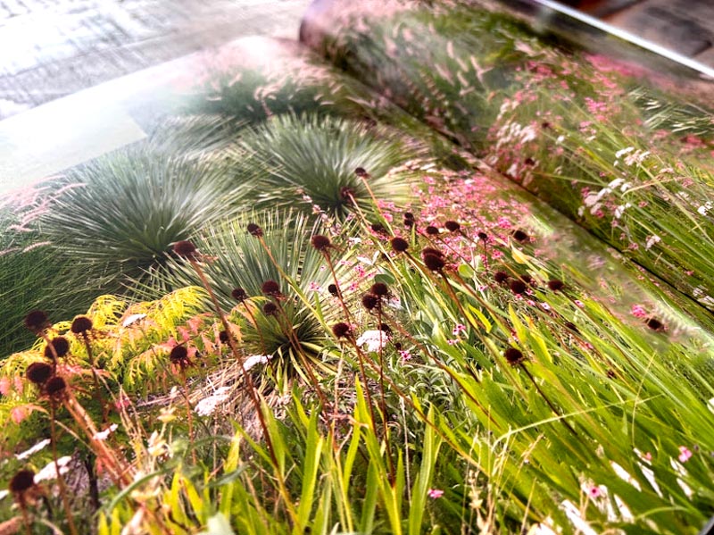 Your Natural Garden: Designing a Space That Looks Like Nature Made It ...