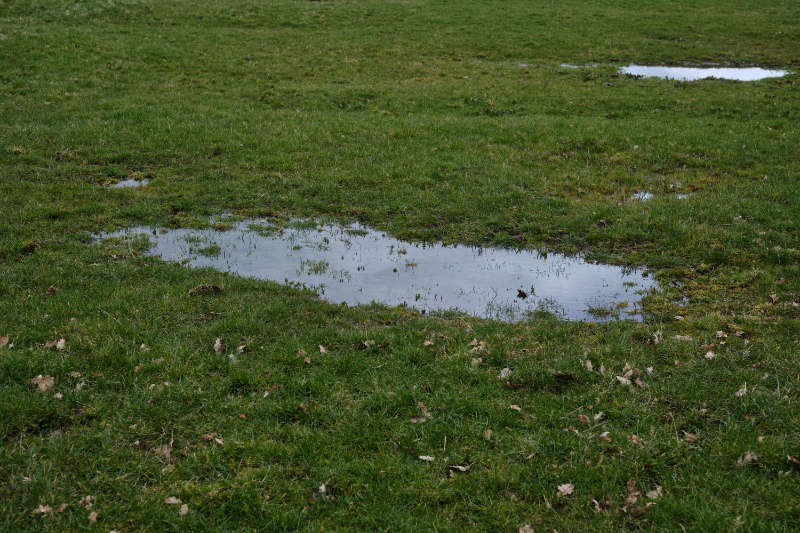 5 Best Trench Drain Companies for Home Projects Where Water Keeps ...
